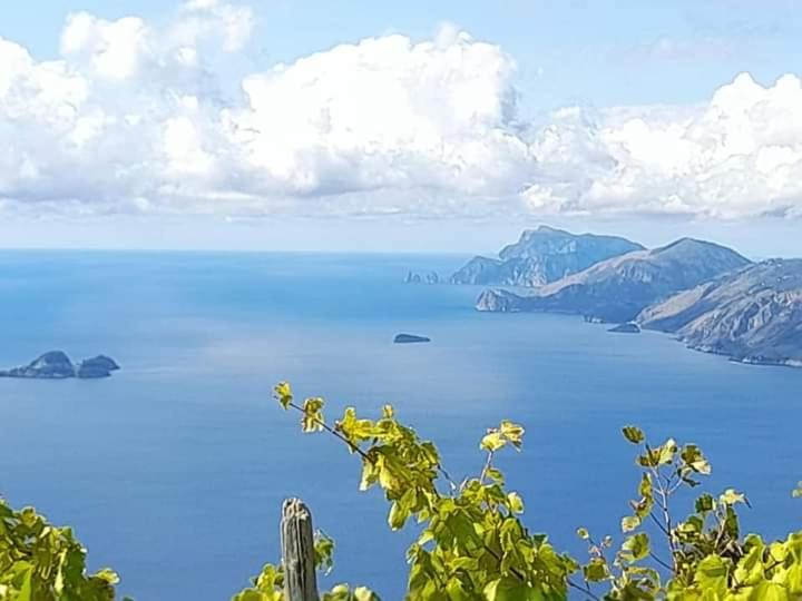 Vecchio West - Province of Salerno