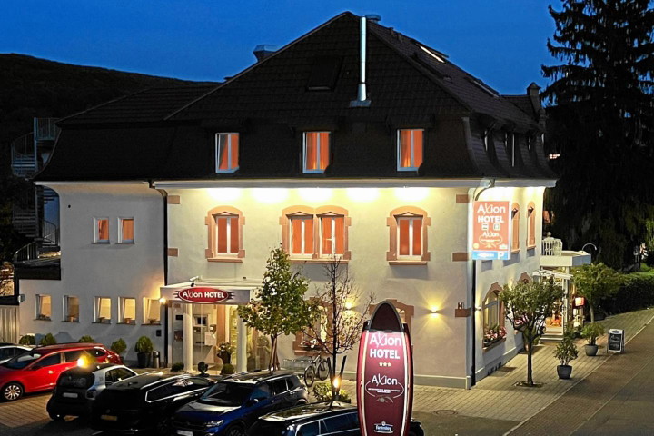 Hotel-restaurant Axion - Grenzach-Wyhlen