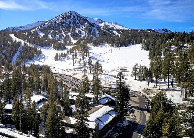 Austria Hof Lodge - Yosemite