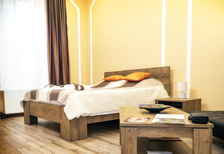 D&b Central Apartment - Oradea