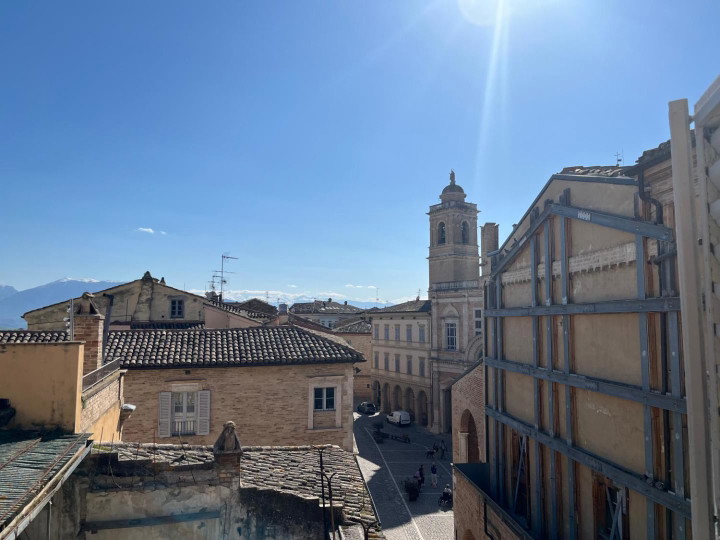 Agapanthus - Ascoli Piceno