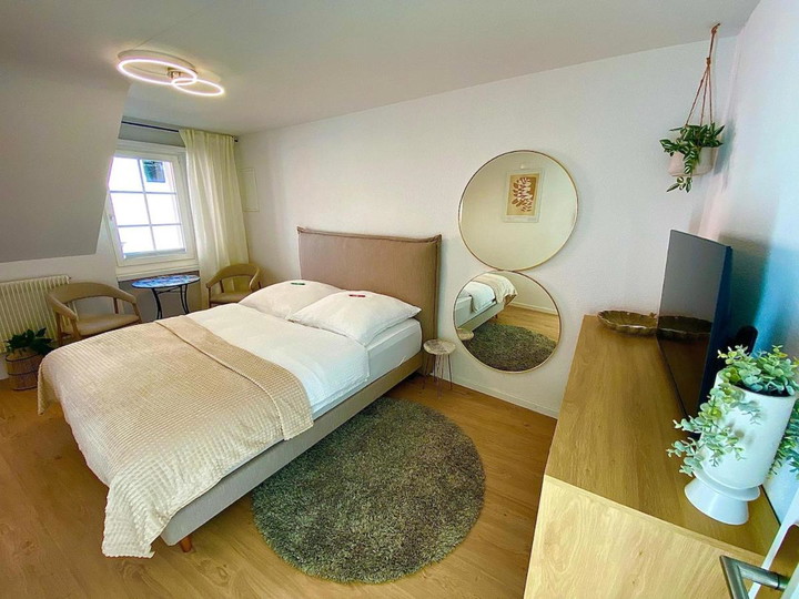 Altstadt-duo 2 Apartments For Family & Friends - Canton of Schaffhausen