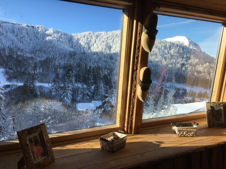 Appartement Chalet Bellevue-pied De La Montagne - Mont Dore - Puy de Sancy