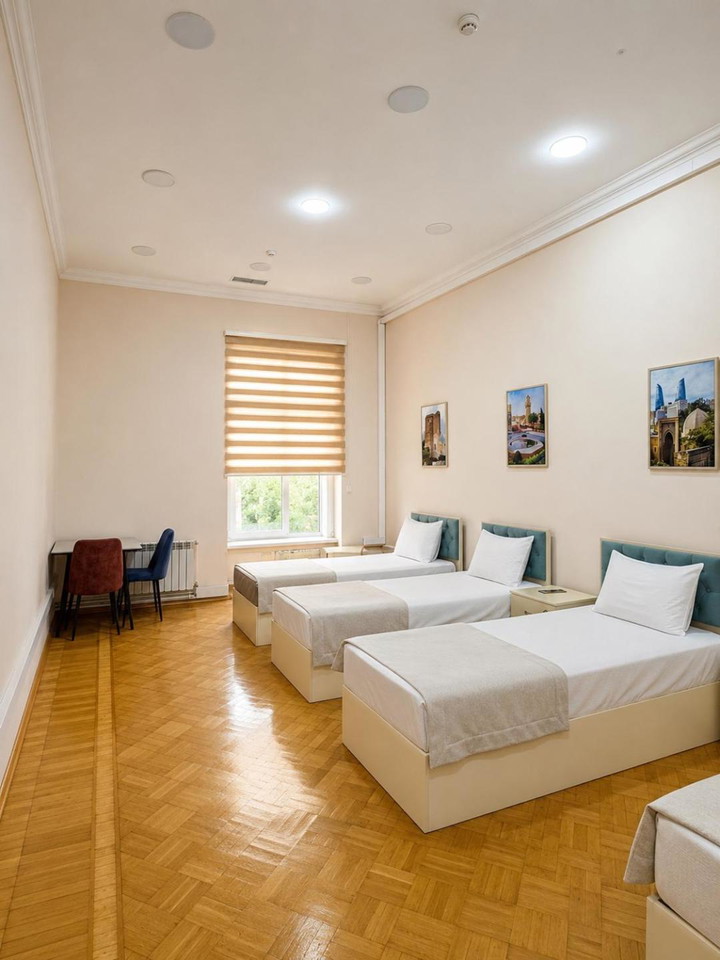 Alara Inn Hotel&hostel - Baku