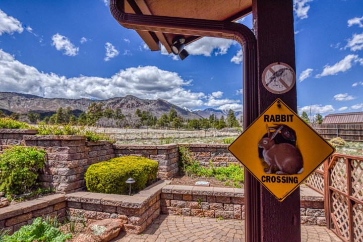 Bunnyland Lodge Panoramic Mt. Views Fantastic Backyard Patio Scenic Location In Flagstaff - Flagstaff, AZ
