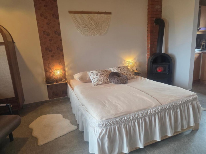 Apartmaji Picasso Design - Slovénie