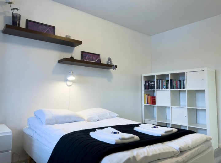 Cozy 1br City Centre Home With Free Parking - Kuopio