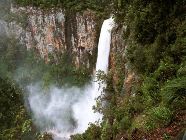 Springbrook Lyrebird Retreat - 
