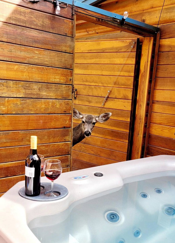 Cowboy's Trail With Hottub, King&queenbed, In Uppercanyon, Pets Welcome - Ruidoso, NM