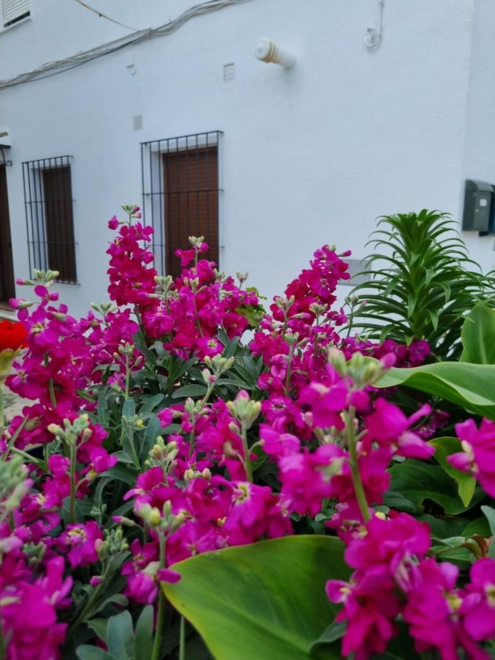 Casa Francisca En El Casco Antiguo - Barbate