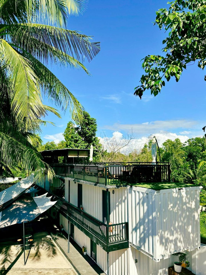Pig Dive Hostel Moalboal - Badian