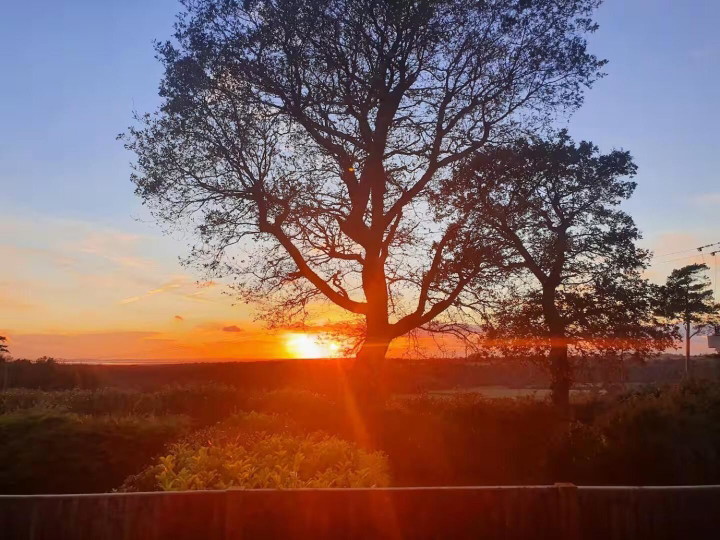 Bow Hill Farm Lodges - Adults Only - Petersfield