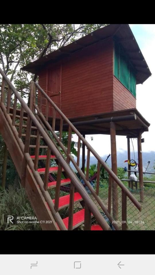 Miradores Del Oso Perezoso - Colombie