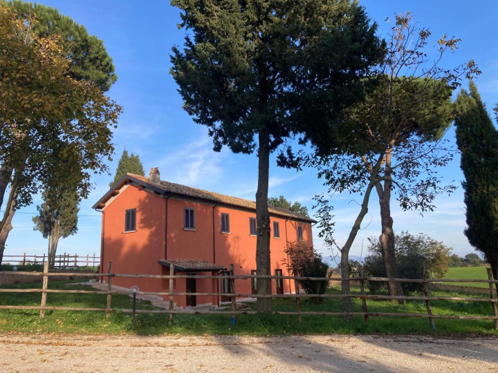 Azienda Agricola Il Borgo Di Sant'elia - Provincia di Viterbo
