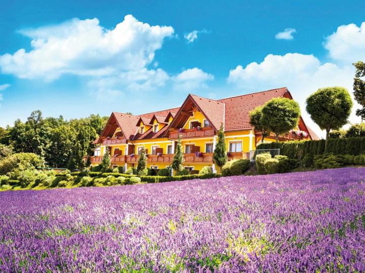 Maria Theresien Hof Loipersdorf - Burgenland