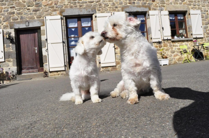 Ty Daou Gwez - Bretagne