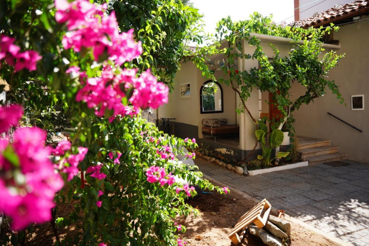 Lemon House - Tirana