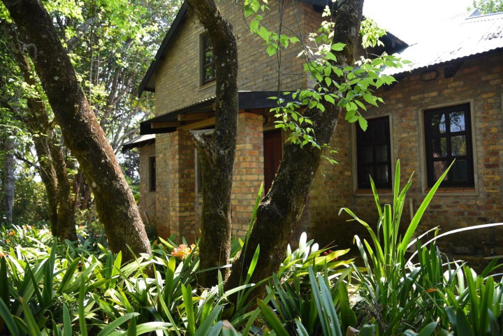 Molly's Cottage - Graskop
