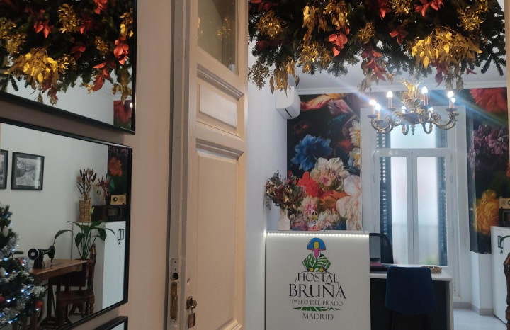 Hostal Bruña Paseo Del Prado - Madrid