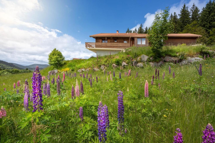 Chalet Dyna, Luxe, Calme Et Sérénité - Xonrupt-Longemer
