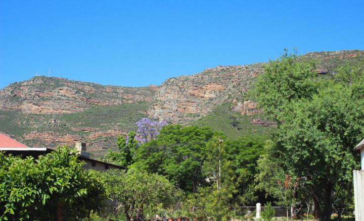 Dorpsplasie - Piketberg - Western Cape