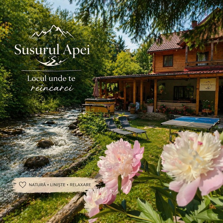 Susurul Apei Chalet - Avrig
