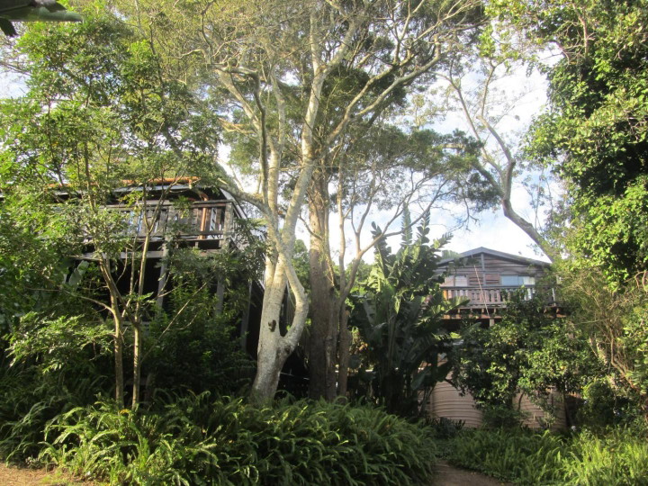 Treehouse Cottage - South Africa