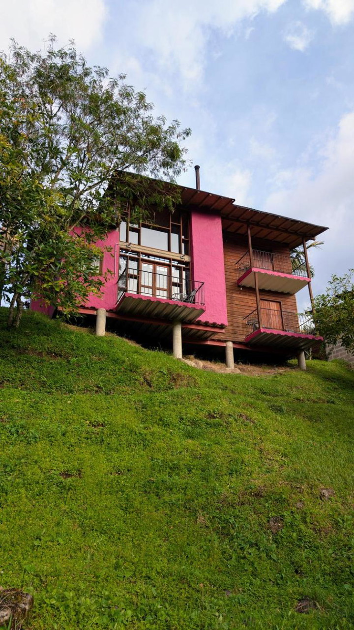 Gallito De Las Rocas Guest House - Andes