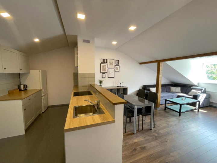 Newtown City Center Apartment Kaunas - Kaunas