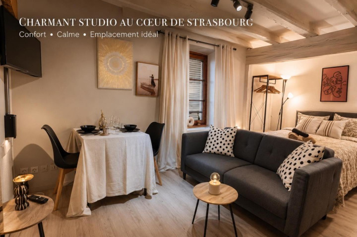 Apartment Hyper Center Strasbourg & Petite France - Entire Apartment - Strasburgo