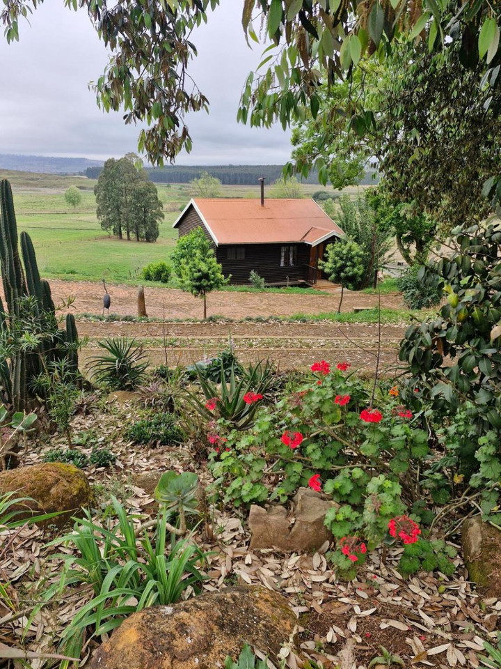 Log Cabin On Lions River - Howick