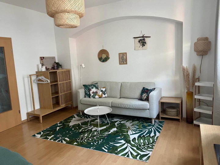 Grünspecht Am Klein Venedig, Zentral Mit Balkon, Arbeitsplatz, Küche, Badewanne Etc - Erfurt