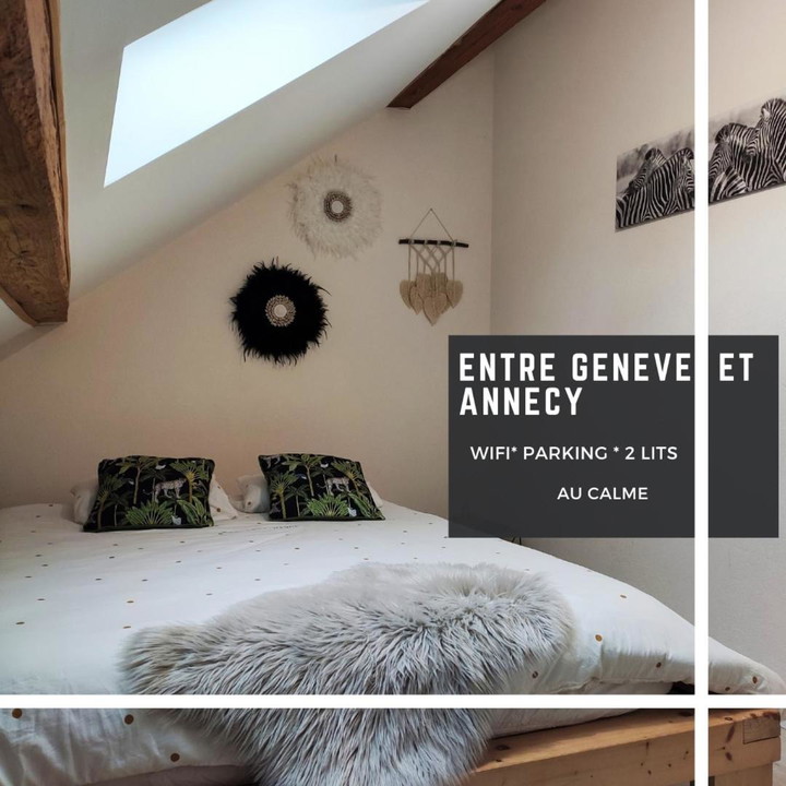 Le Trèfle Proche De Genève Et Annecy - Saint-Julien-en-Genevois