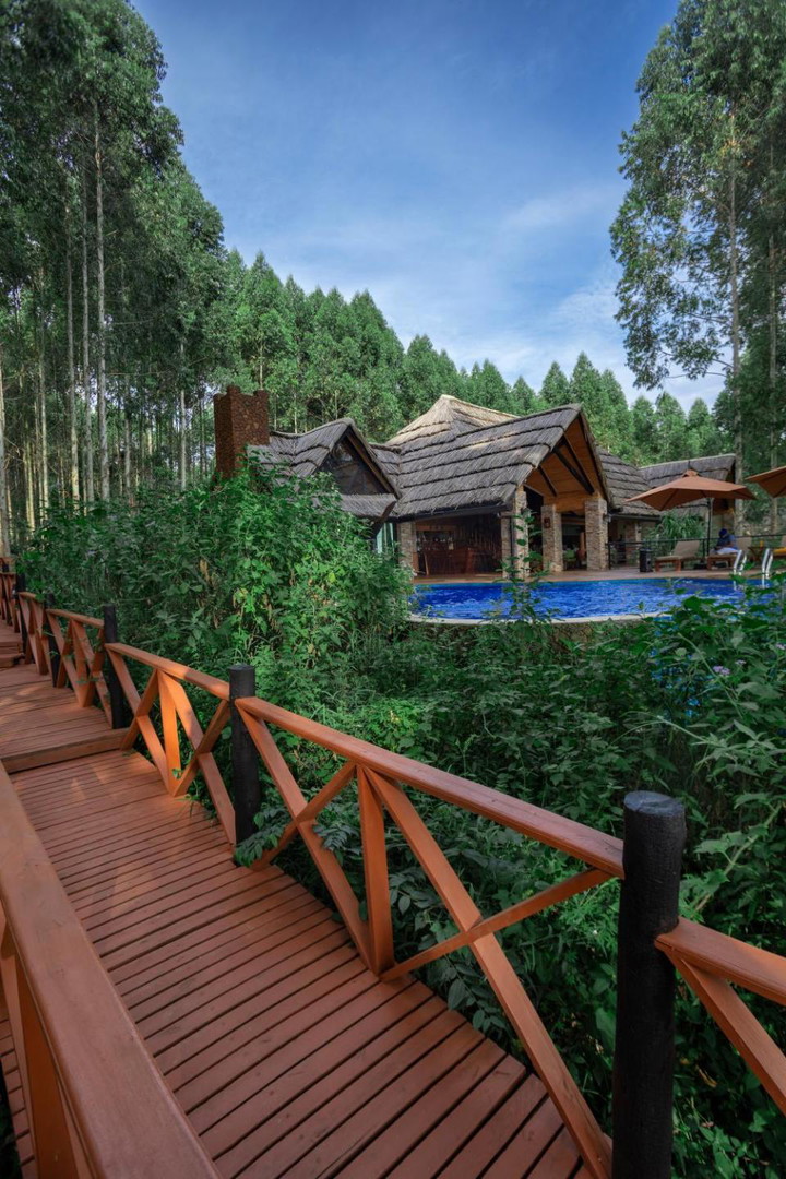 Wild Geese Lodge - Uganda