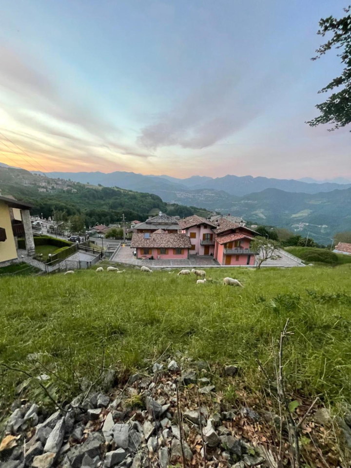Roncola 2021 - San Pellegrino Terme
