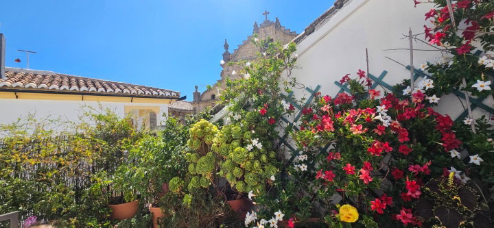 Apartamentos Los Descalzos ÁNgel With Private Terrace Free Parking - Ronda