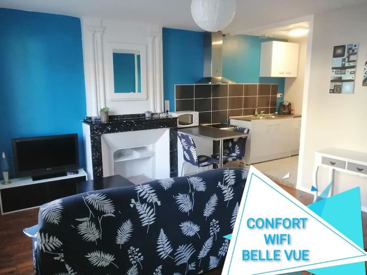 Charmant T2 Refait à Neuf, Au Cœur De Puylaurens - Blan