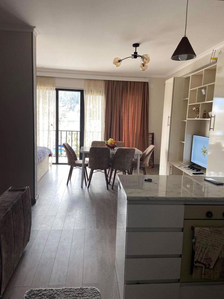 Vitali Apartment - Georgia