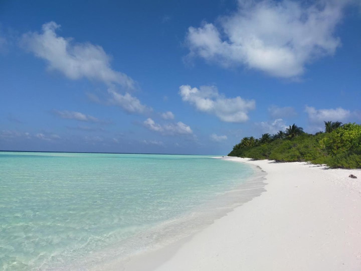 Rattehi Inn At Rakeedhoo - Maldives