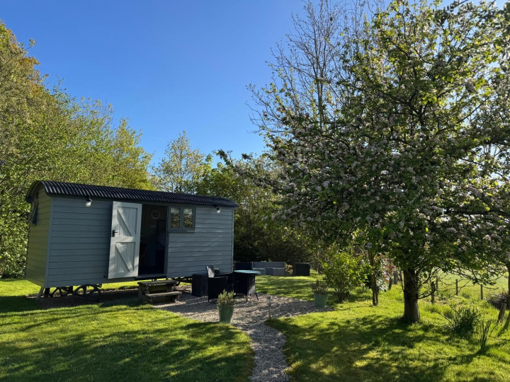 Greatwood Shepherds Hut - 海斯廷斯