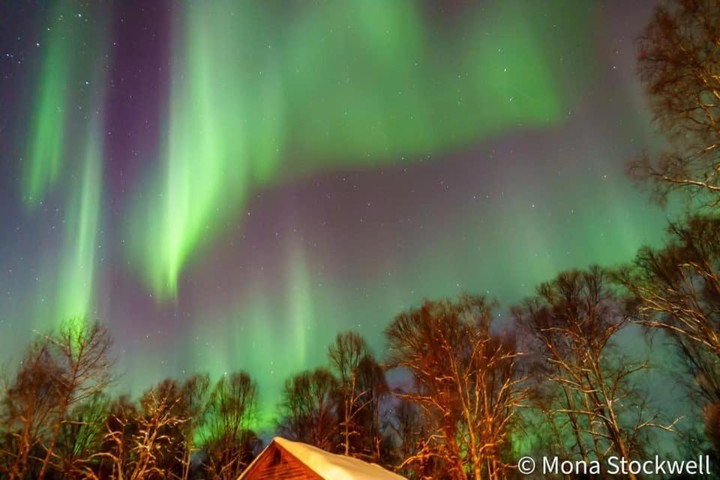 Backwoods Cabins At Susitna River Lodge - Talkeetna, AK