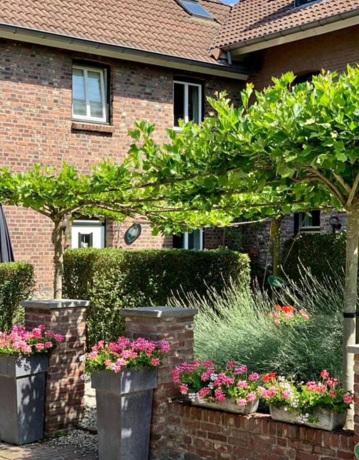 Schuttershuuske - Maastricht