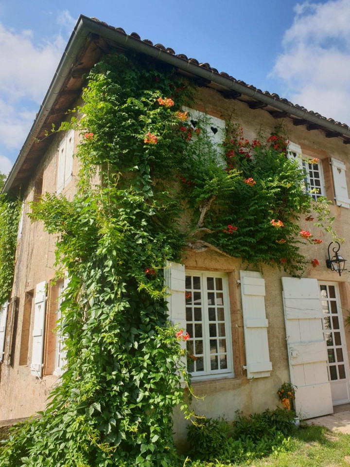 Le Carge D’arlay - Beaujolais