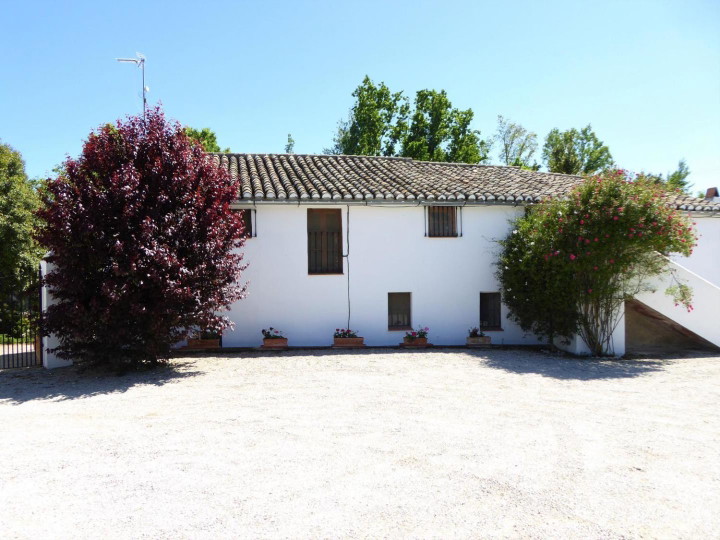 Fincaretama Farmhouse Apartment Ronda - Ronda