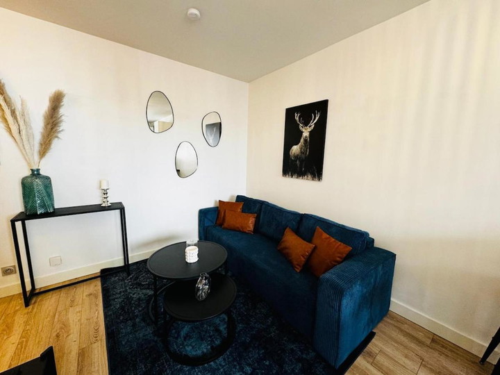 46 Racine - 1 Bedroom - Gratte Ciel - Saint-Priest