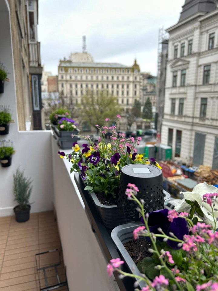 City View - Bucharest