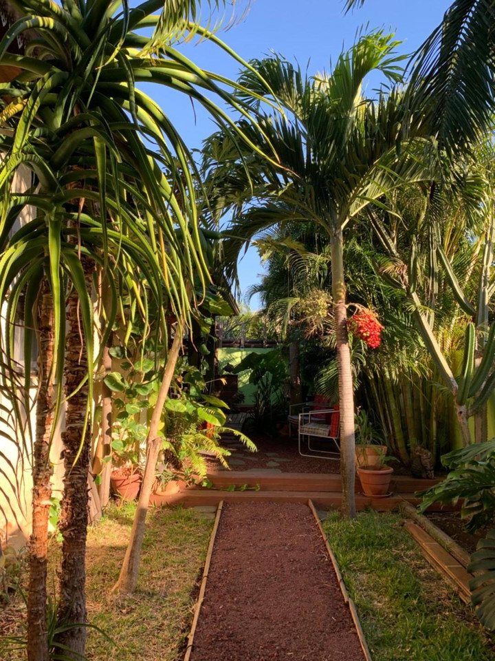 Le Dodo Salé - La Réunion
