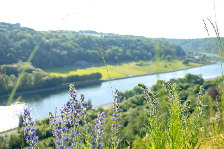 Retro Getaway At The Meuse Valley - België