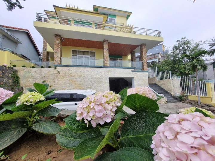 Top Hill Halong Homestay - 下龍市
