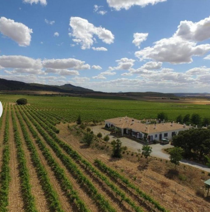Finca El Romeral - Almansa